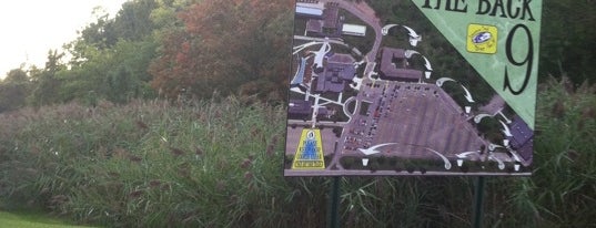 Michigan Disc Golf Courses