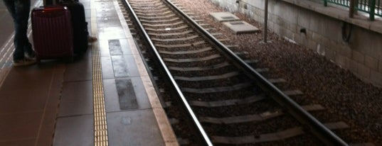 LRT Route 705, 706 輕鐵705、706線