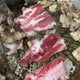 Sing Sing Meat Shop & Restaurant - BF Homes - 9 tips