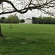 Marble Hill Park - Twickenham - 7 tips from 532 visitors