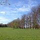 Harpenden Common - Field
