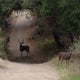 Whiting Ranch Wilderness Park - Foothill Ranch - Portola Parkway