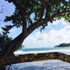 Gapang Beach - Gapang Beach