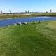 Springbank Links Golf Club - 2 tips