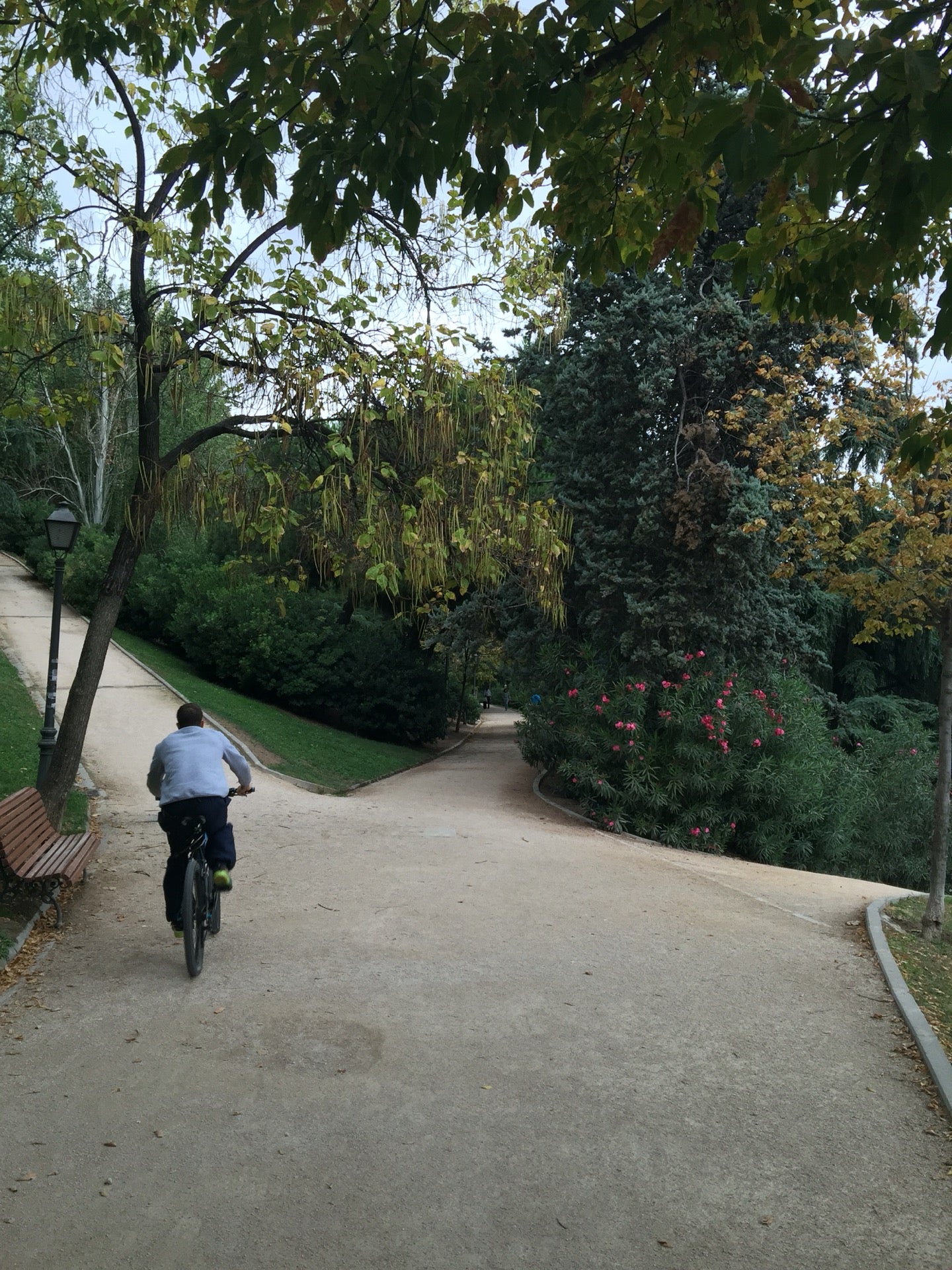 Parque Quinta de la Fuente del Berro - C. Enrique de Almonte - Madrid