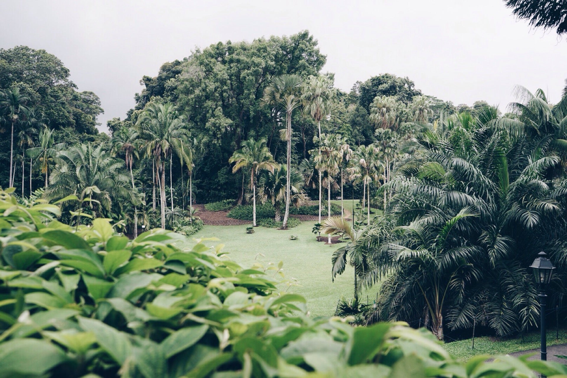 Singapore Botanic Gardens - 1 Cluny Rd. - Singapore