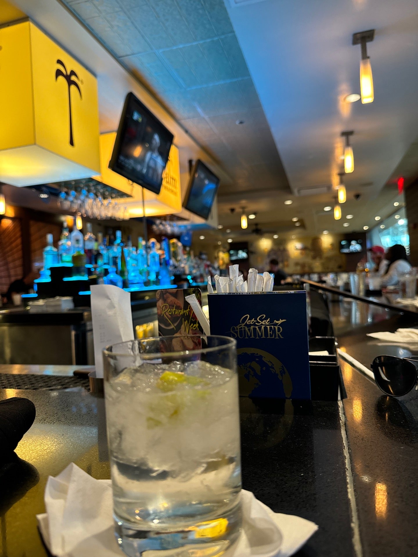 The Palm Bar & Grille at JFK