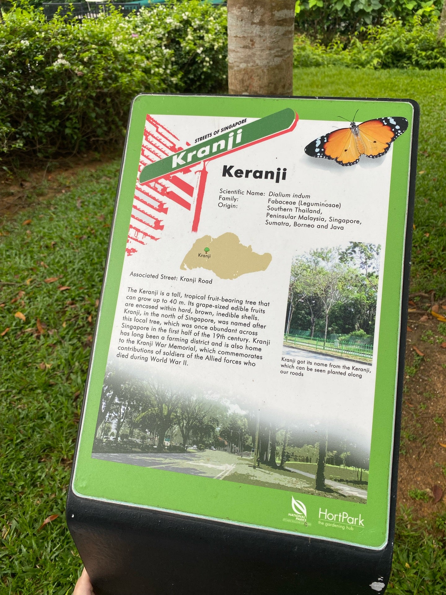 Kranji Reservoir Park - Kranji Way - Singapore