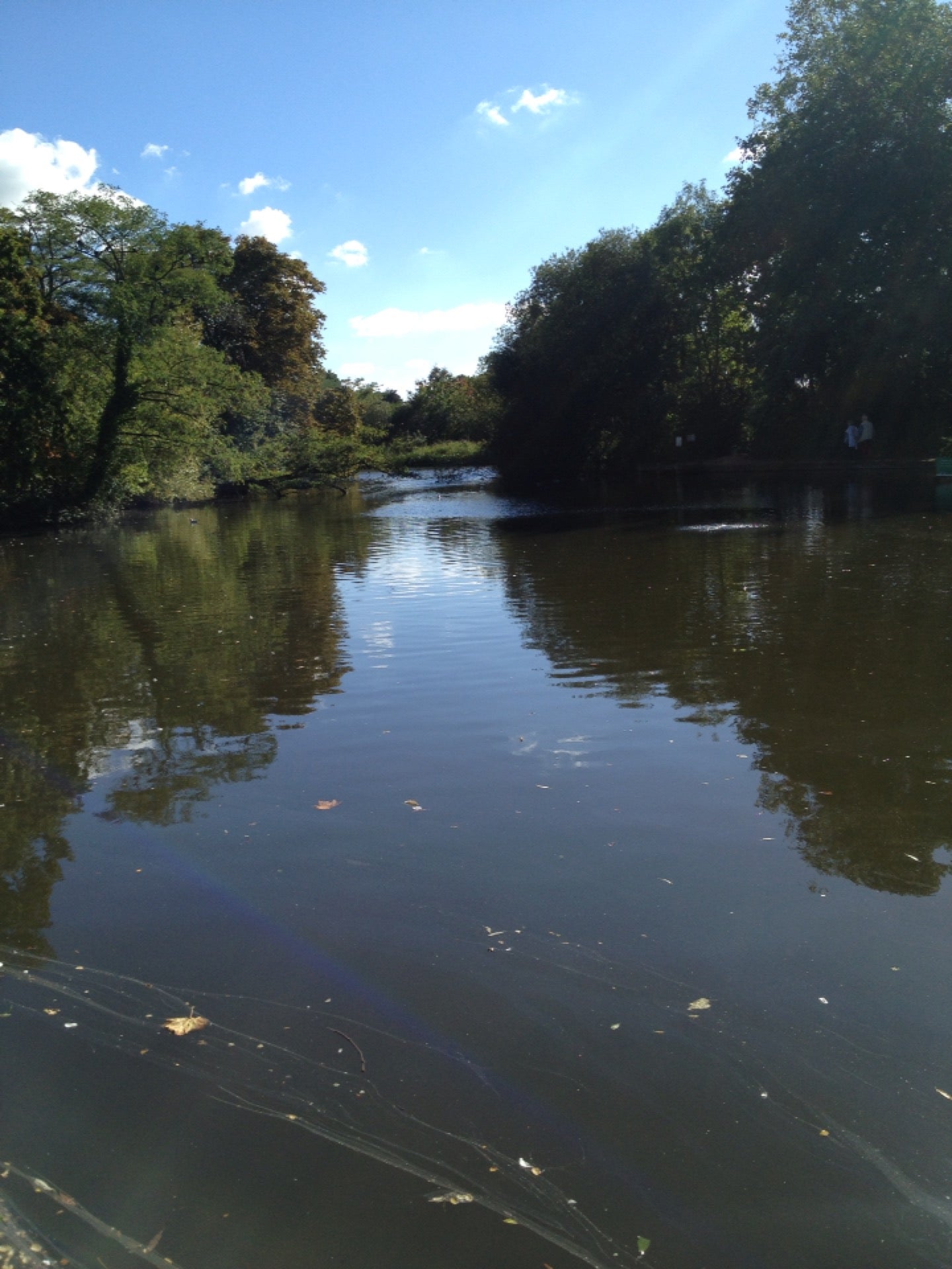Tooting Bec Common - Tooting Bec Rd - London