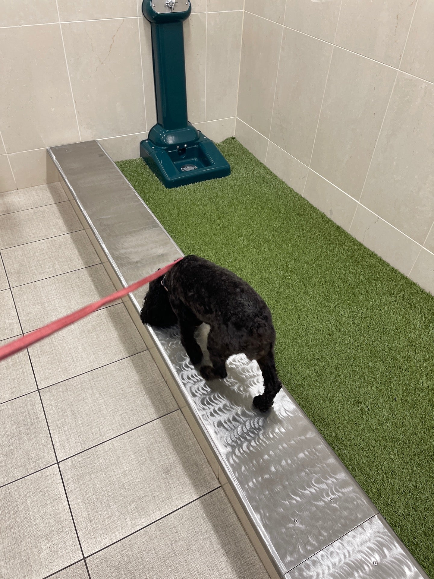 Pet Relief Area at DCA