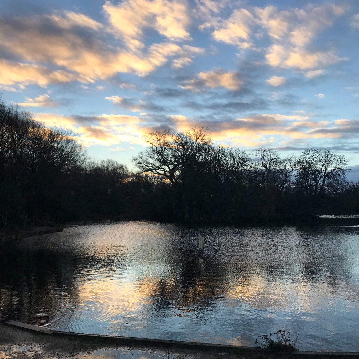Tooting Bec Common - Tooting Bec Rd - London