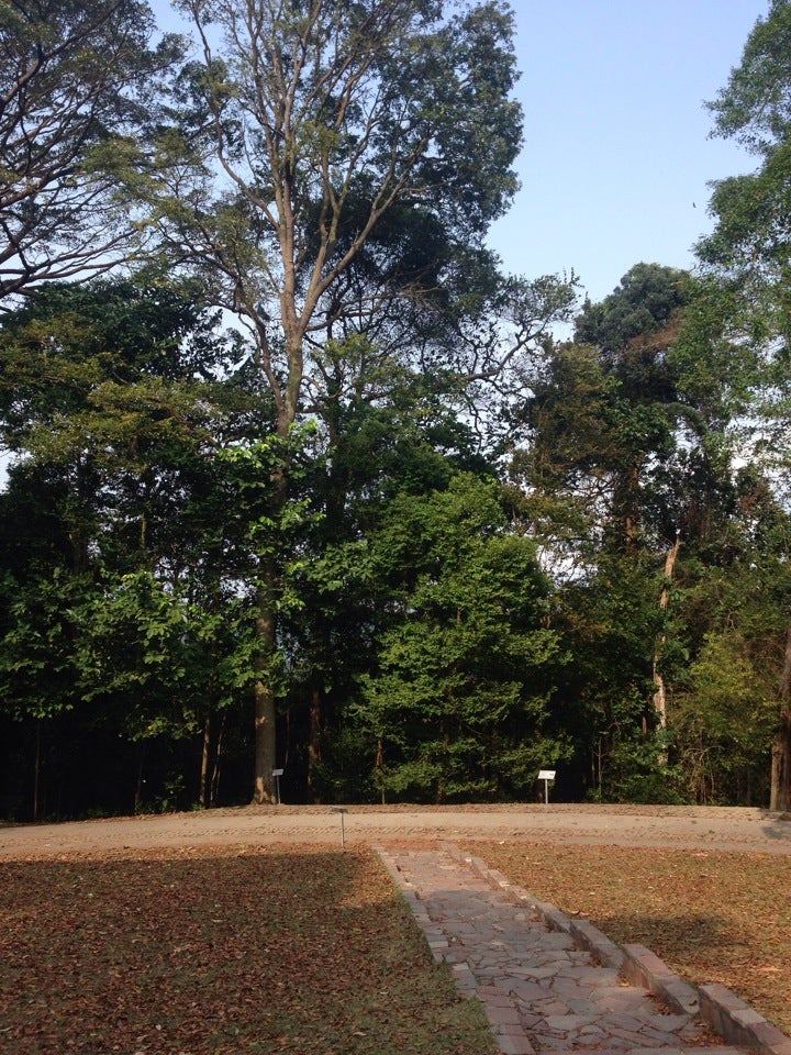 Bukit Timah Summit - Bukit Timah Nature Reserve - Singapore